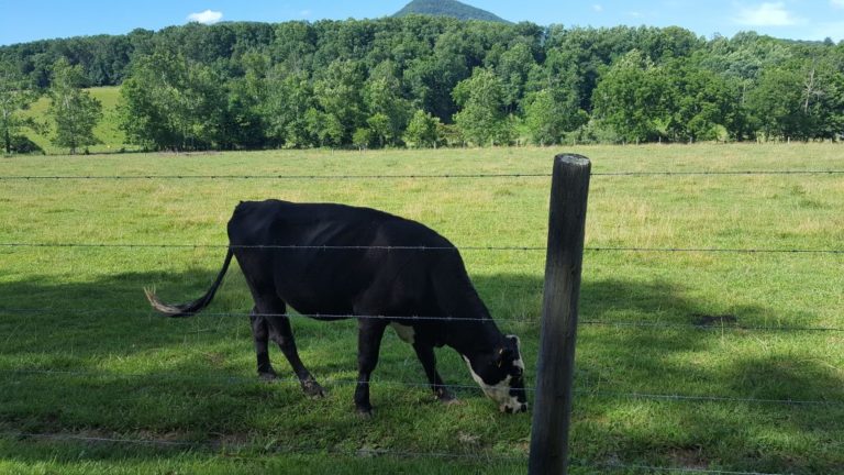 Photos – Town of Goshen, Virginia